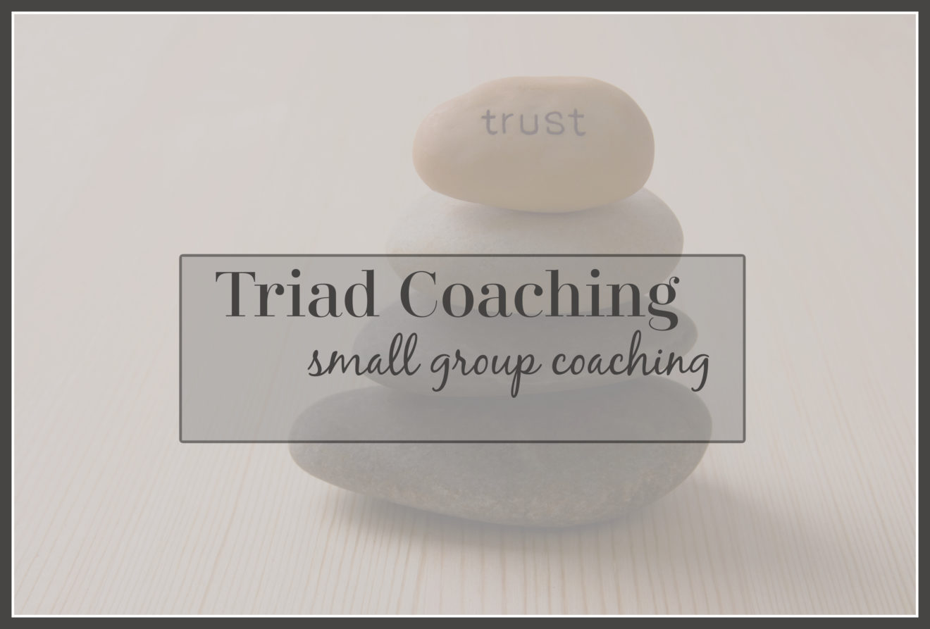 Learning to Trust Triad Coaching - Hope Redefined