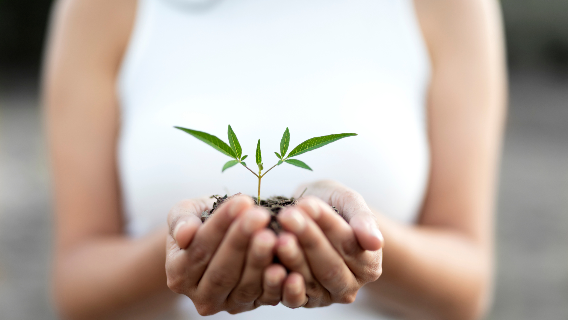 Growing in Anger Part 2: Speak Slow and Grow - Hope Redefined